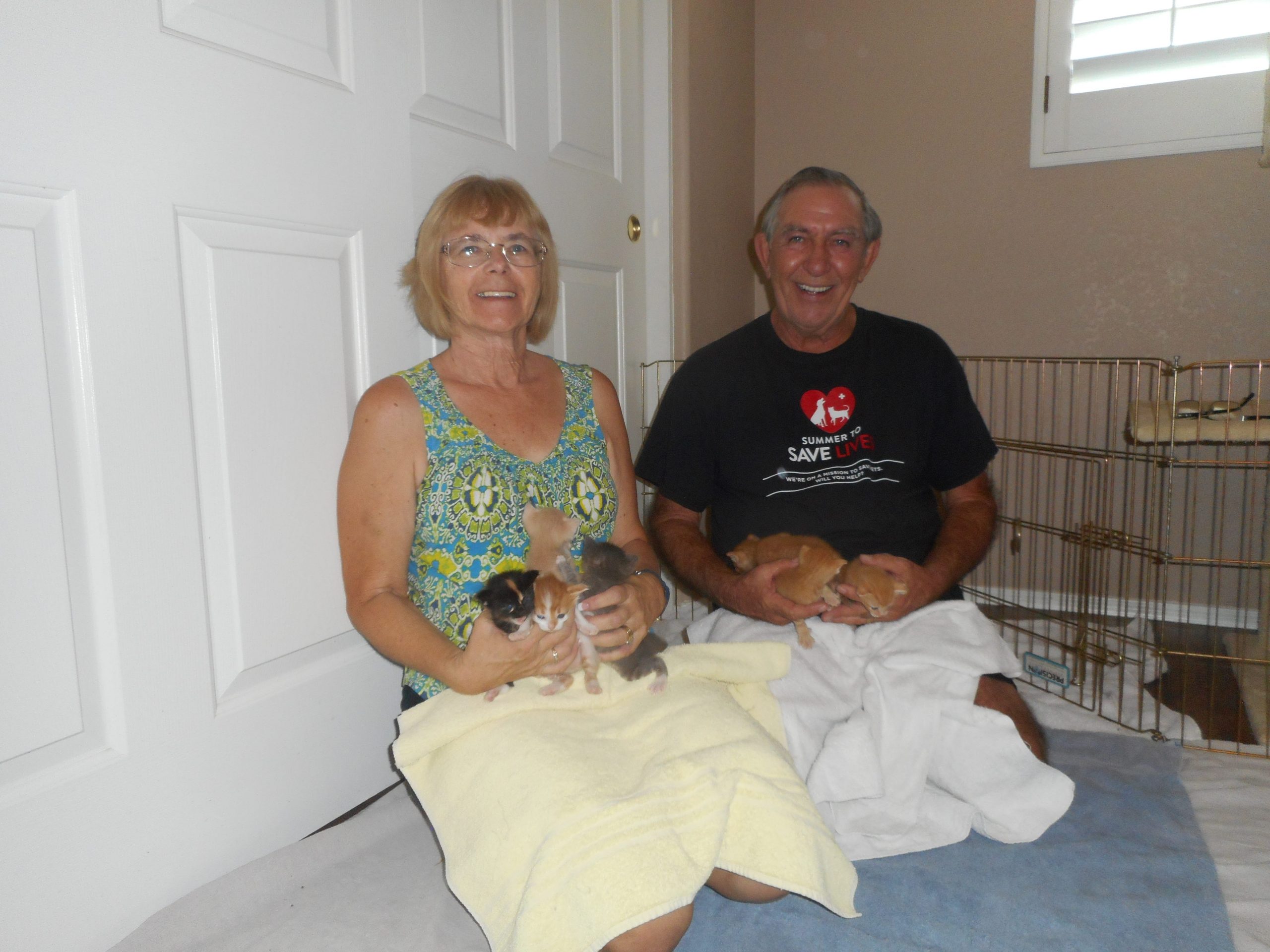 Foster Spotlight - Arizona Humane Society