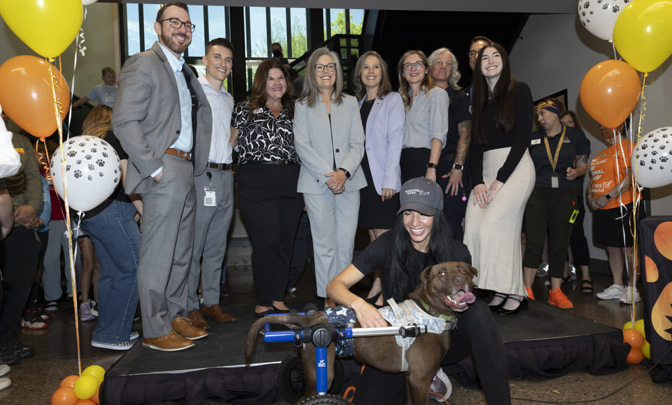 Jerry's Law Officially Takes Effect in Historic Win for Arizona's Pets ...